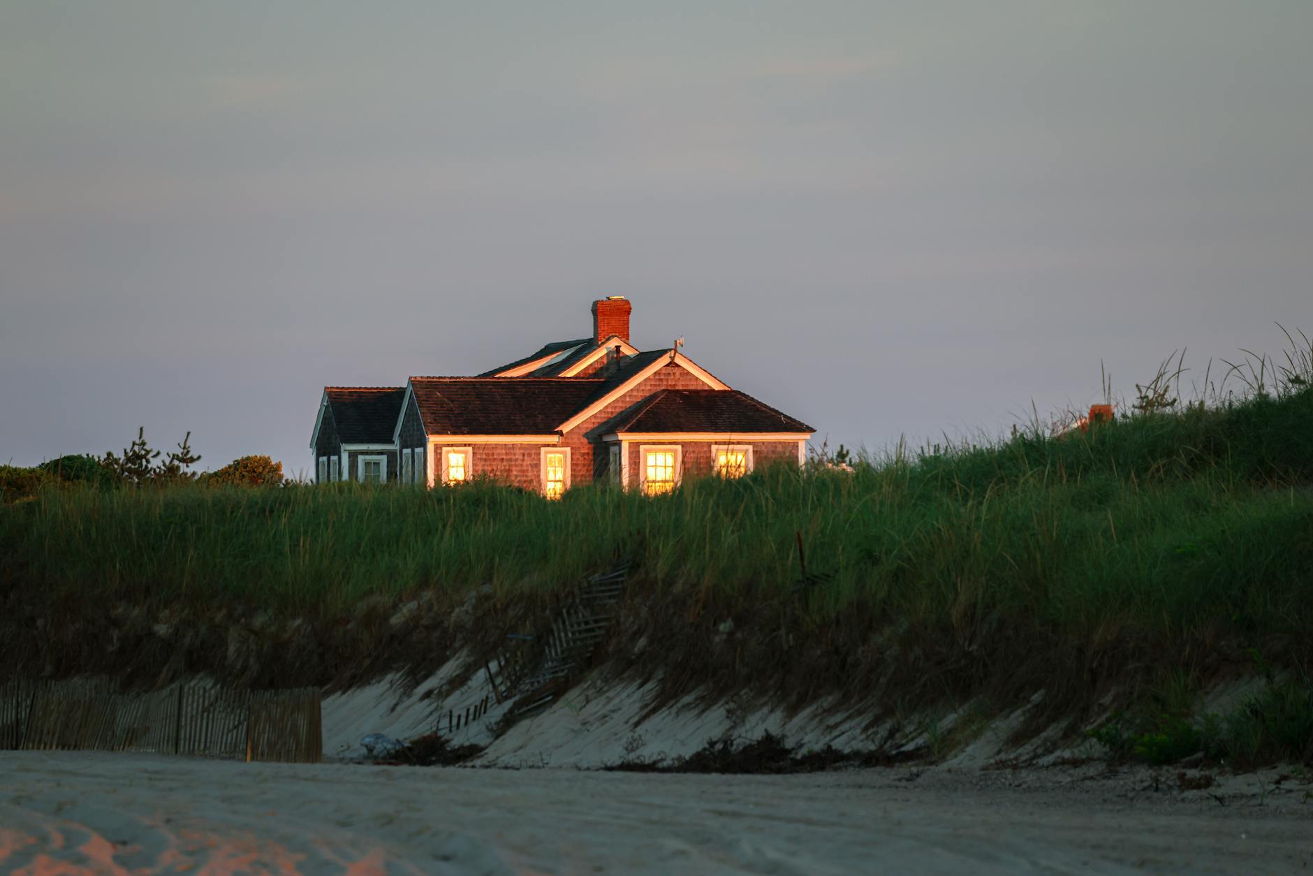 🌳 Nantucket Man Allegedly Cuts Down Neighbor’s Trees for “Sweeping View ...